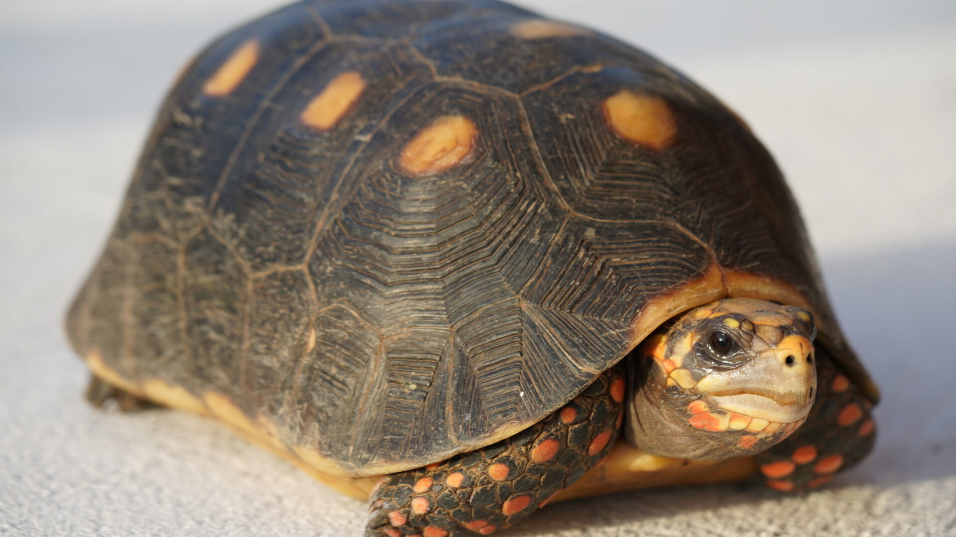 Gallery | Dunton Destinations