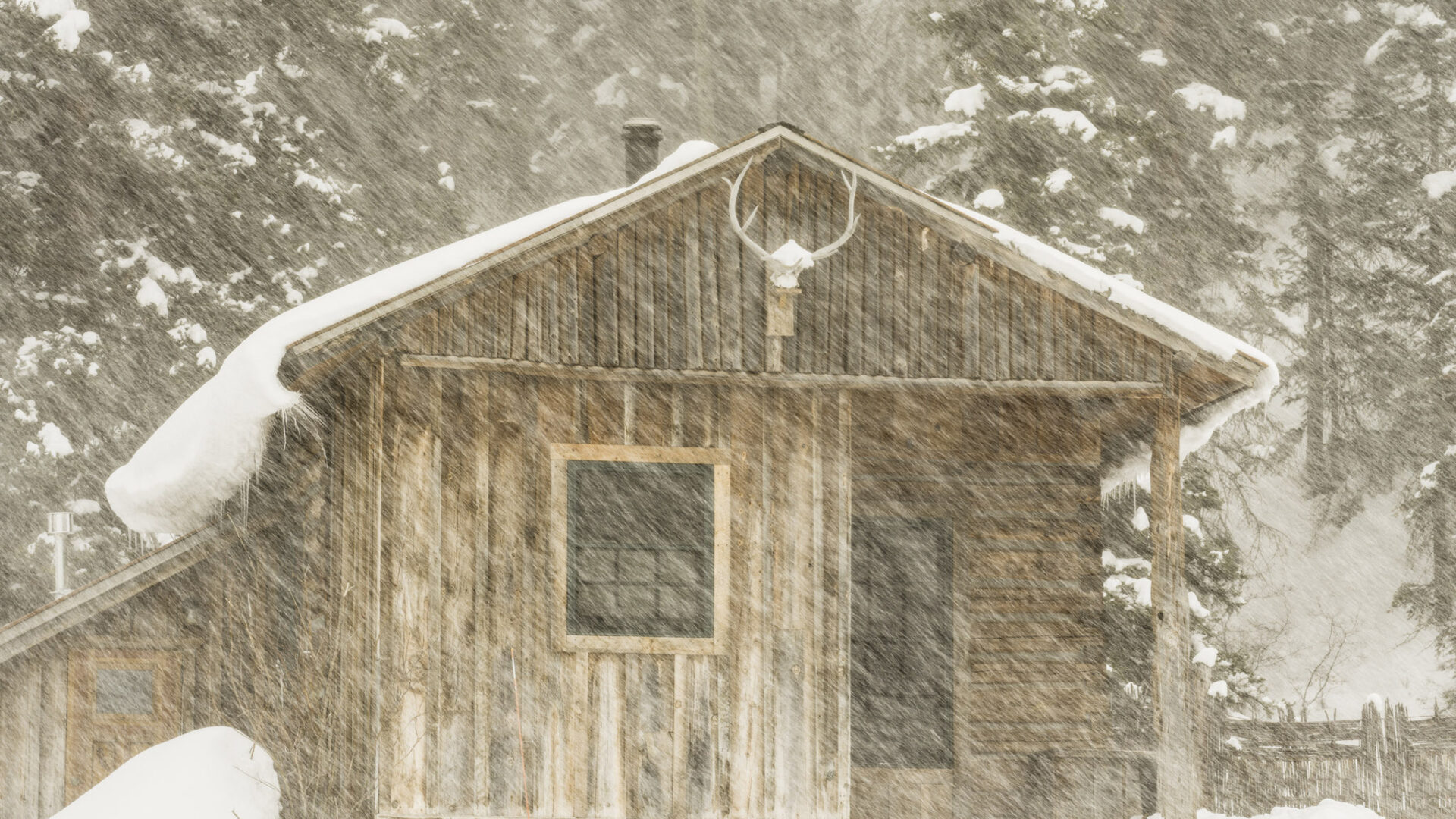 Cabins - Dunton Destinations